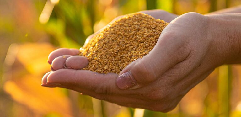 Cargill Nutrition System | Purina Canada