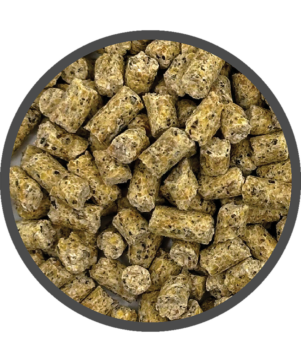 Layena® Plus (Short Cut Pellet) | Purina Canada Purina® Gold’N Layena ...