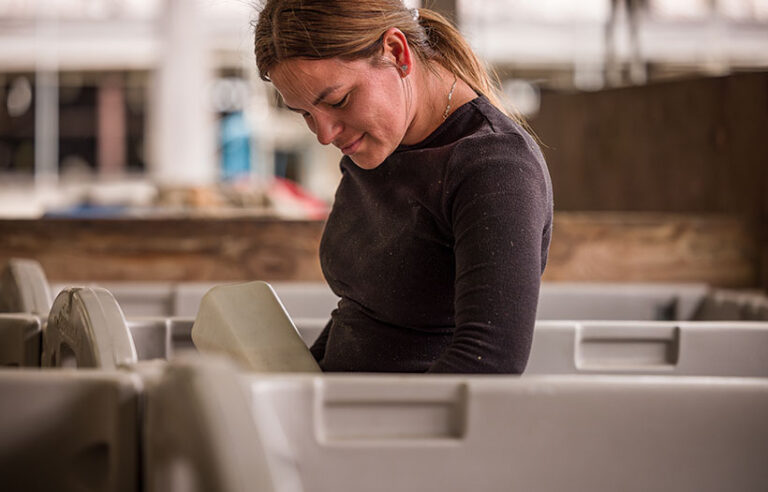 Feed bioactive metabolites to support growth, immunity and better calf ...