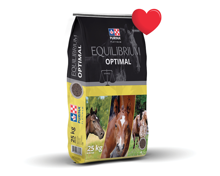 Purina Canada, Leader in Equine Nutrition